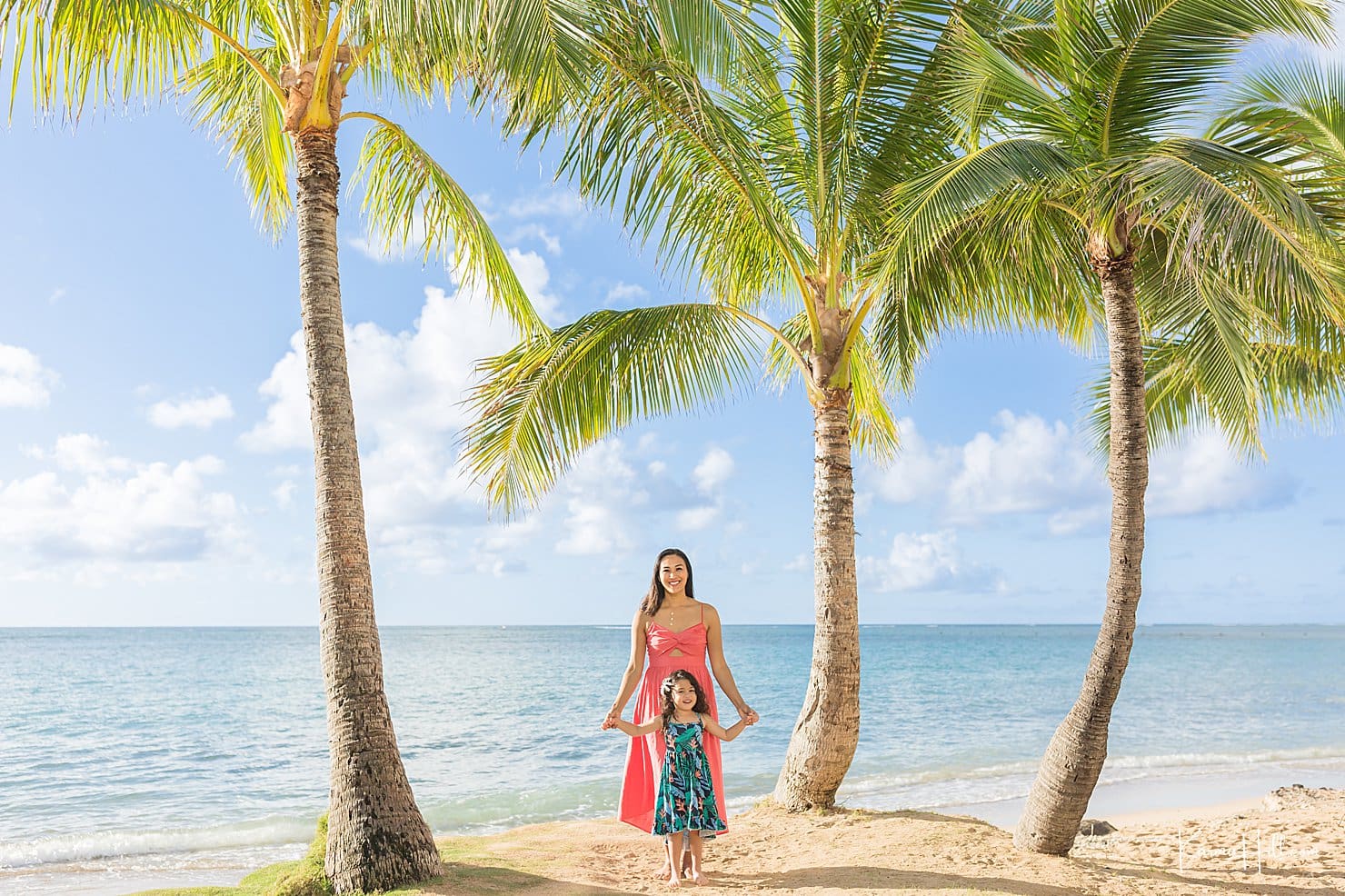 Save The Date - The Moises' Oahu Family Portrait