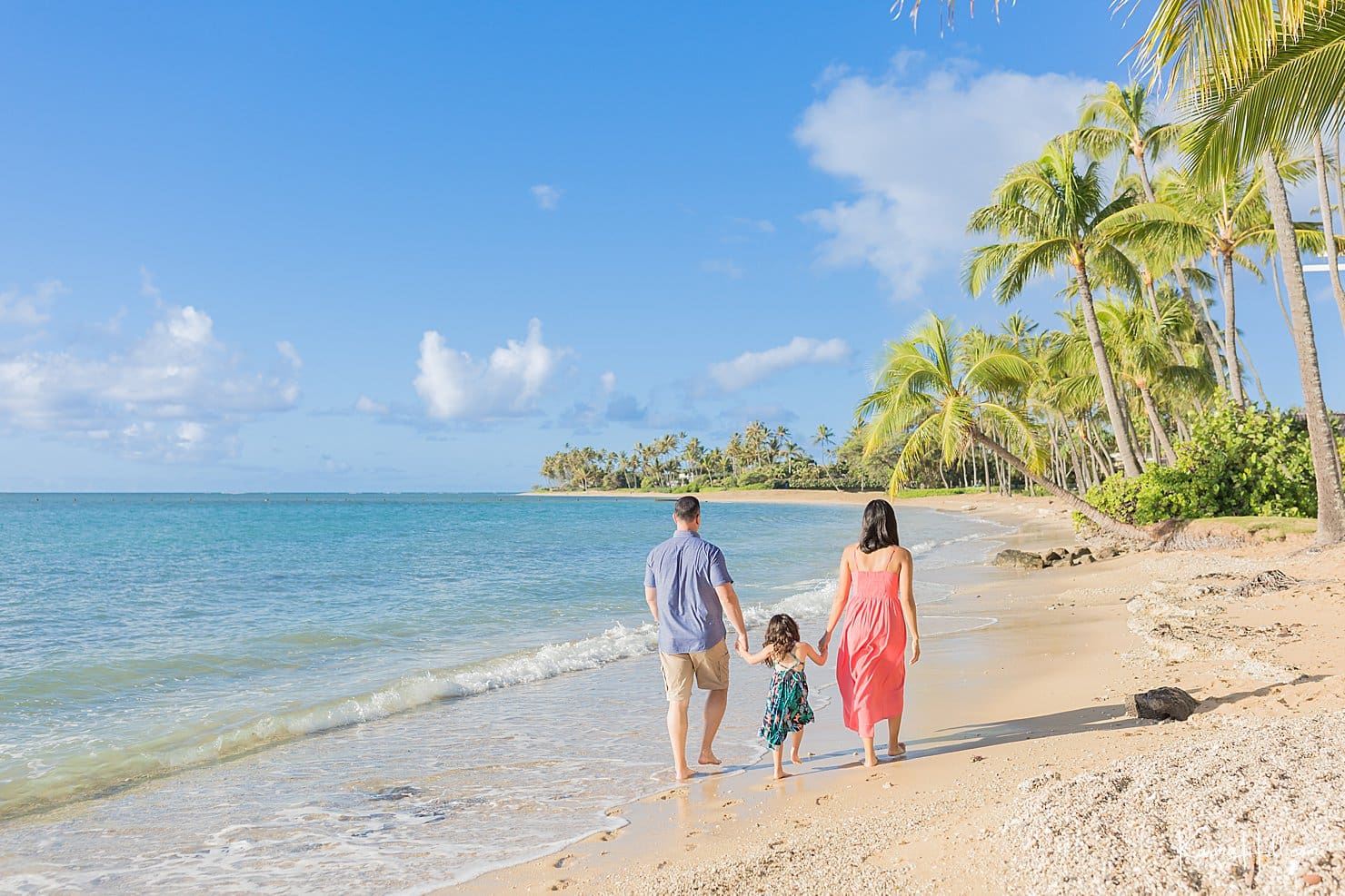 Save The Date - The Moises' Oahu Family Portrait