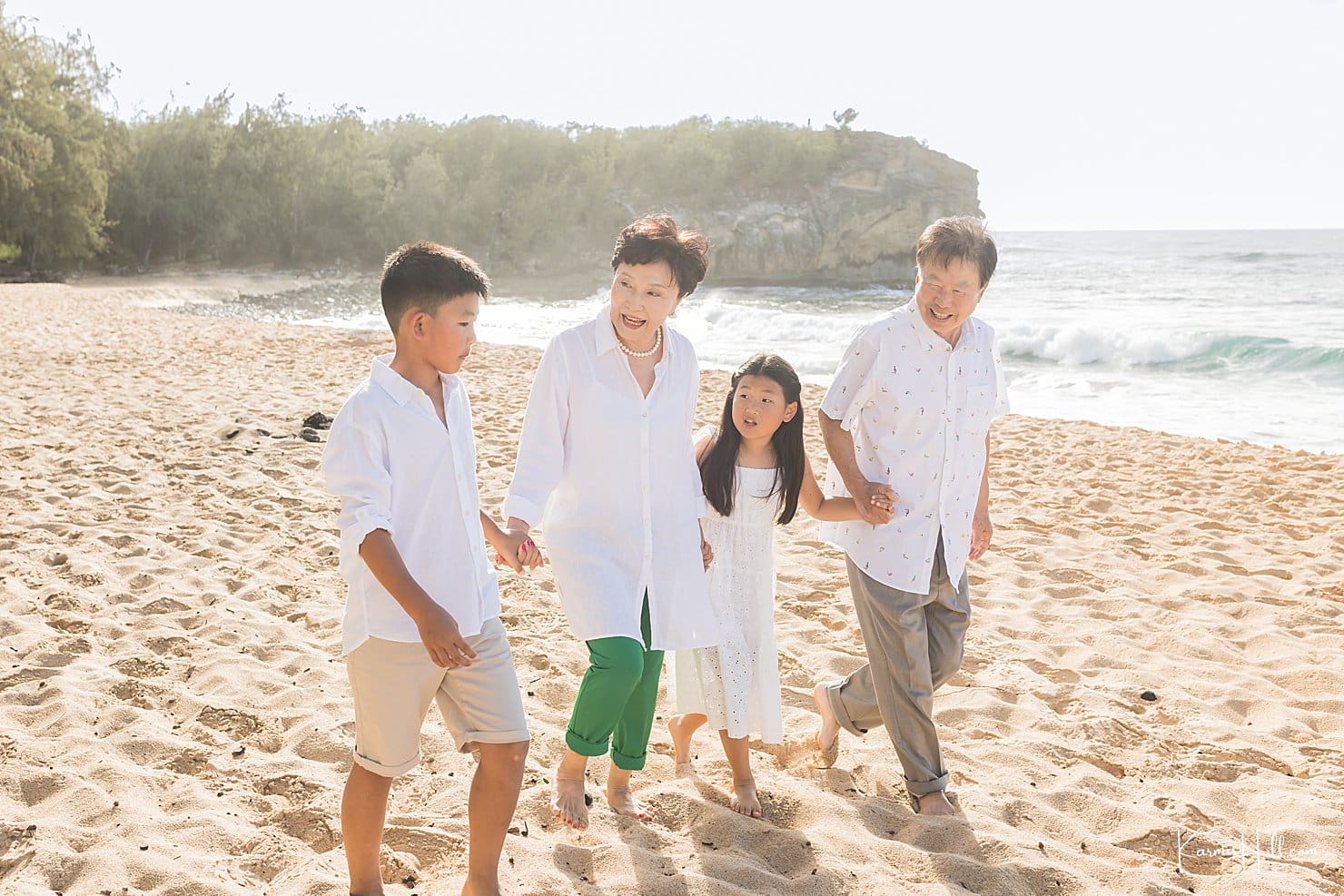 Celebrate Ohana - The Shin's Kauai Family Portrait