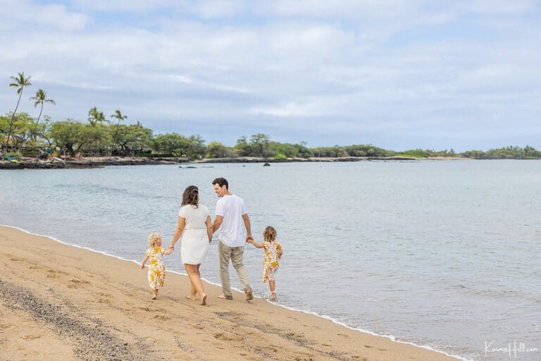 Our Big Dreams - The Vienneau's Big Island Family Portrait