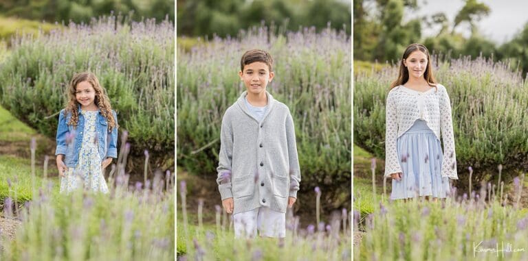 A New Place - The Gottlieb's Maui Family Portrait