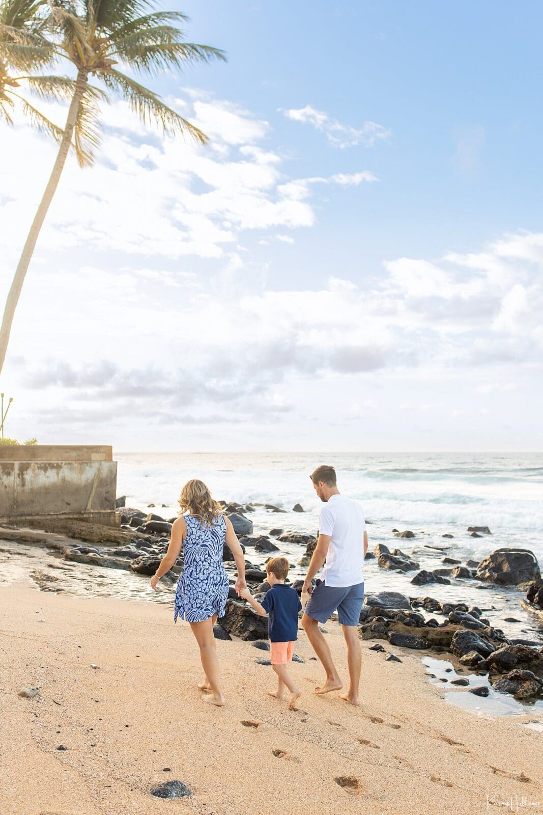 7th Time Around - The Sherar's Kauai Family Portrait