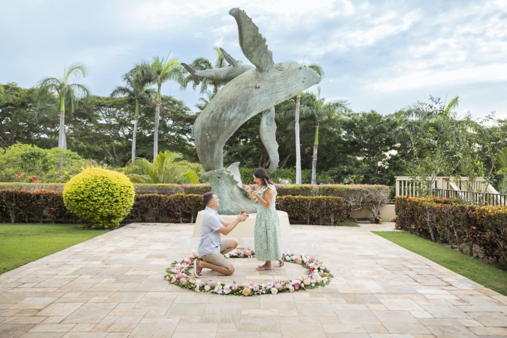 Hawaii Proposal Ideas: The Perfect Proposal Plan