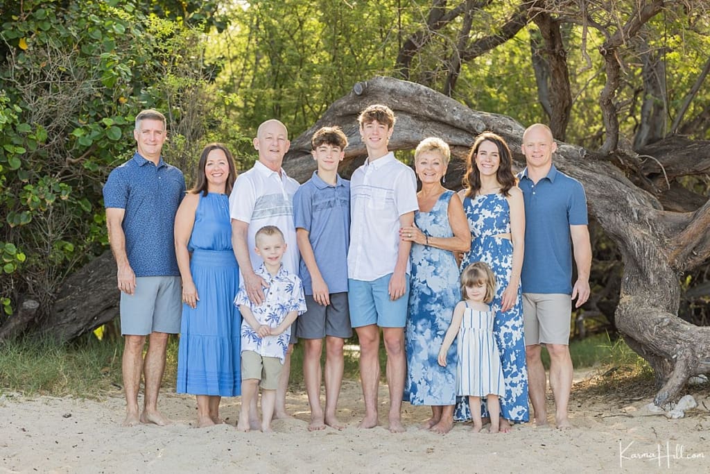 A Special Reunion - The Case-McFarland's Maui Family Portrait