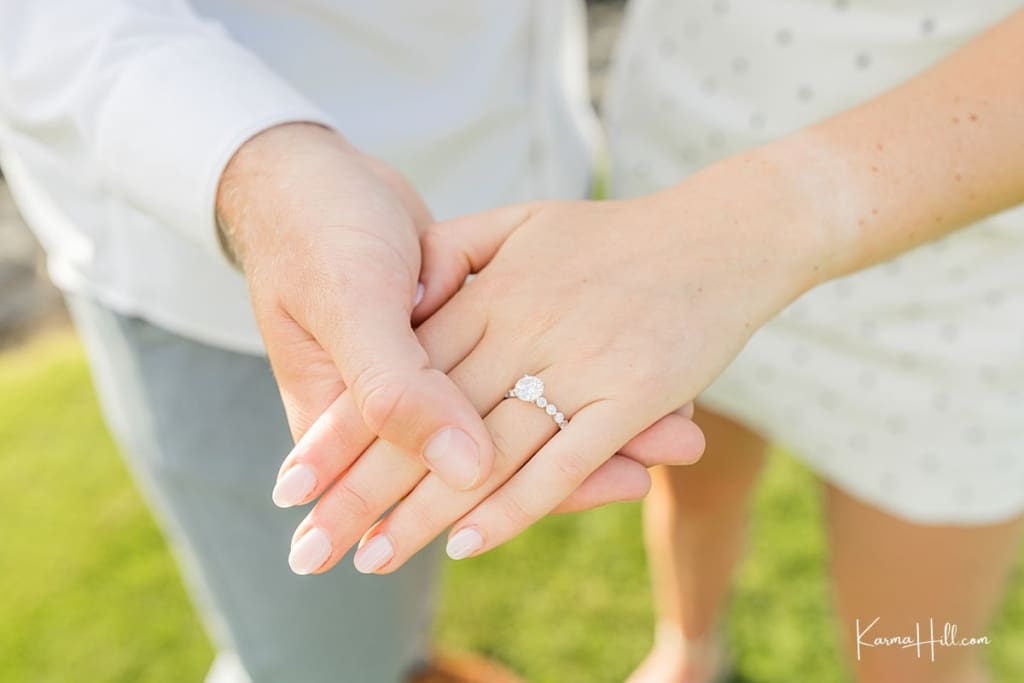 Life With You - Dylan & Chase's Big Island Proposal Portrait