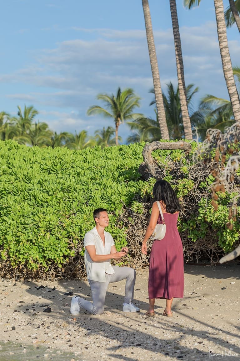 Ready For What's Next - Eric & Maya's Big Island Proposal Portrait