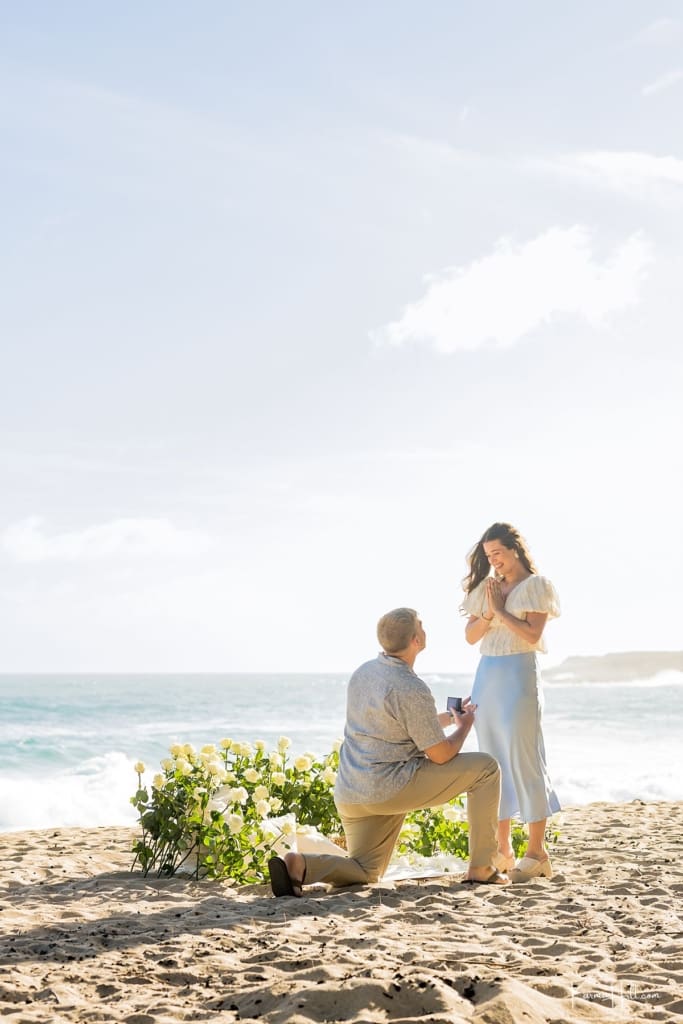 A Lifetime In The Making - John & Megan's Kauai Proposal Portrait