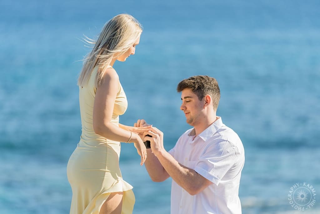 Sunshine For Days - Drew & Trinity's Maui Proposal Portrait
