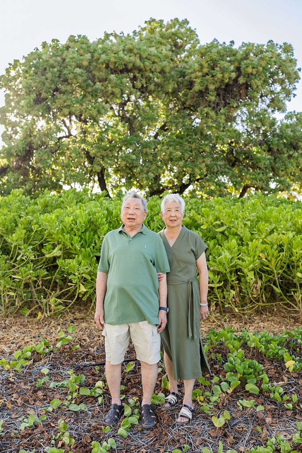 Four Times A Charm - The Ching's Big Island Family Portrait