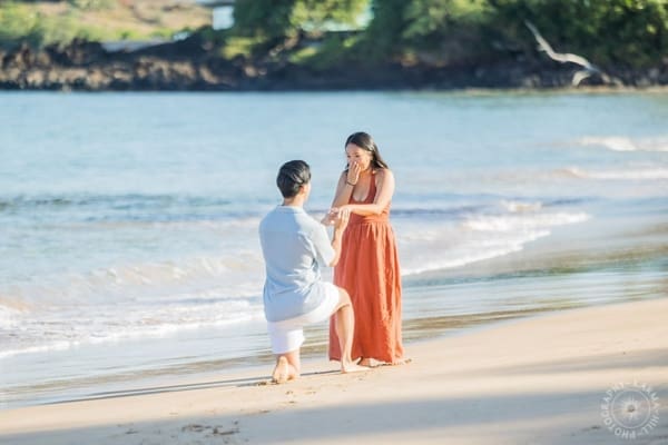Destined To Be With You - Brandon & Lindsey's Maui Proposal Portrait