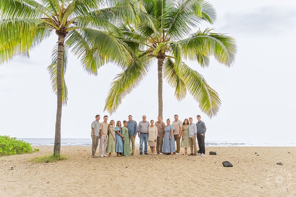 Happy Times - The Wallace & Sutton's Big Island Family Portrait